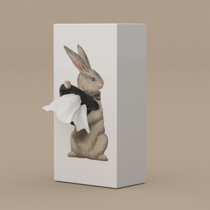 Tissue up tale Alice Rabbit - boite à mouchoirs lapin